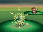 Screech | Pokémon Wiki | Fandom