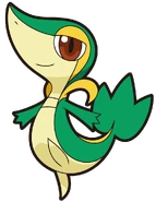Snivy | Pokémon Wiki | Fandom