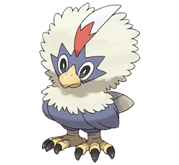 Rufflet | Pokepèdia | Fandom