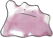 Ditto | Pokémon Wiki | Fandom