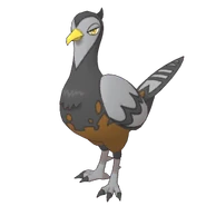 Unfezant | Pokémon Wiki | Fandom