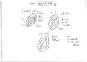 Evolutionary Stone | Pokémon Wiki | Fandom