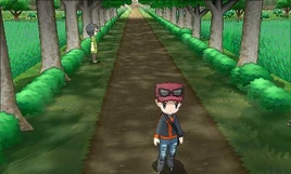 Route 6 (Kalos) | Pokémon Wiki | Fandom