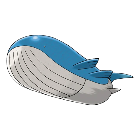 Wailord | Pokémon Wiki | Fandom