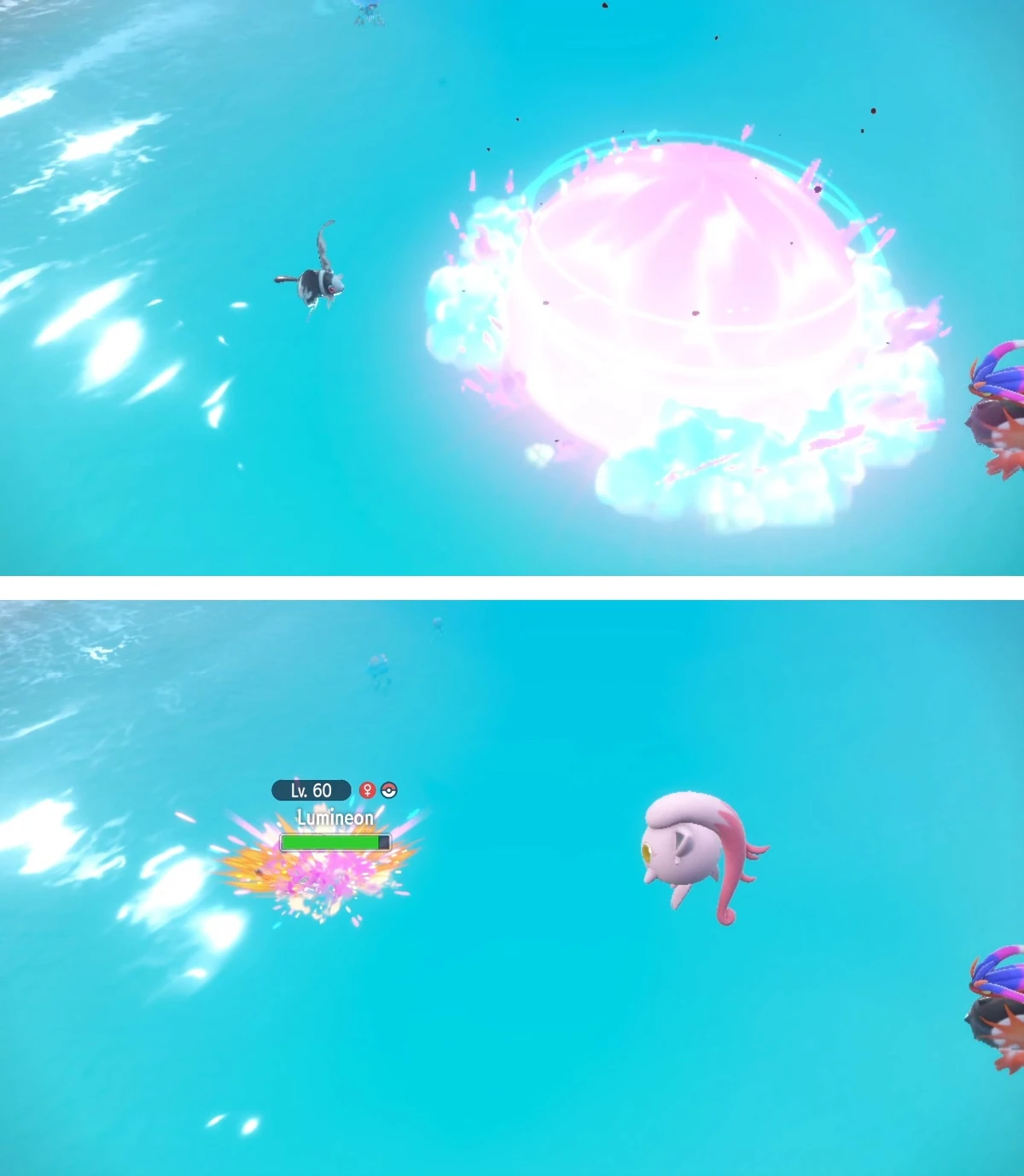 Misty Explosion | Pokémon Wiki | Fandom