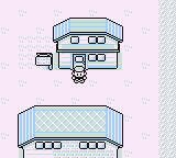 Rival's house (Kanto) | Pokémon Wiki | Fandom