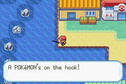 Fishing | Pokémon Wiki | Fandom