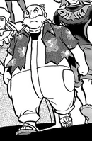 Wattson | Pokémon Wiki | Fandom