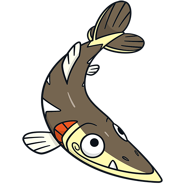 Arrokuda | Pokémon Wiki | Fandom