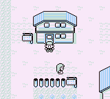 Player's house (Kanto) | Pokémon Wiki | Fandom