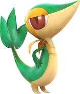 Snivy | Pokémon Wiki | Fandom