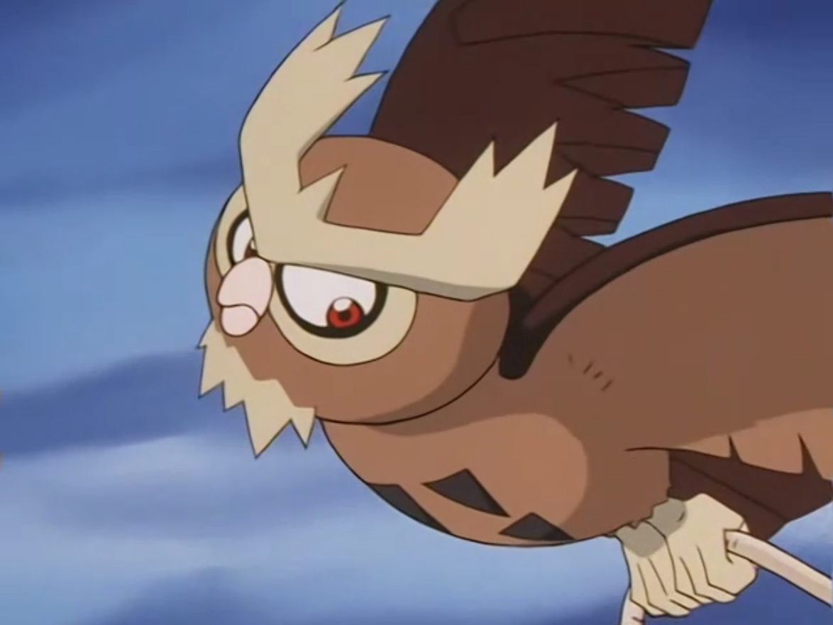 Wings' Noctowl | Pokémon Wiki | Fandom