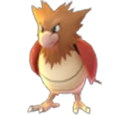 Spearow | Pokémon Wiki | Fandom