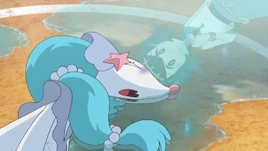 The Road to the Semifinals! | Pokémon Wiki | Fandom