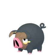 Lechonk | Pokémon Wiki | Fandom