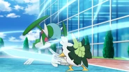 Night Slash | Pokémon Wiki | Fandom