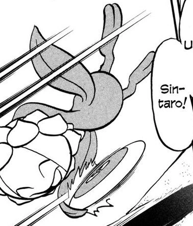 Sunbo | Pokémon Wiki | Fandom