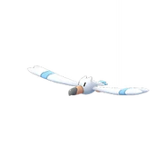 Wingull | Pokémon Wiki | Fandom