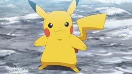 Ash's Pikachu | Pokémon Wiki | Fandom