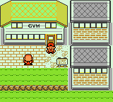 Celadon City | Pokémon Wiki | Fandom