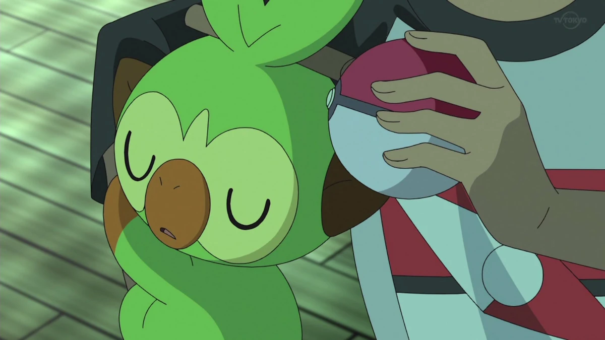 When a House Is Not a Home! | Pokémon Wiki | Fandom