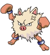 Primeape | Pokémon Wiki | Fandom