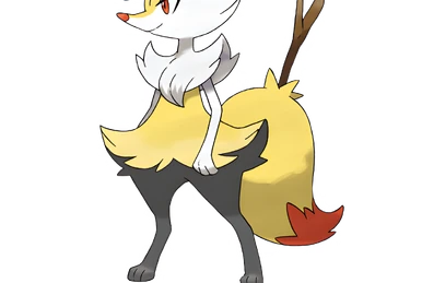 Pokemon Braixen Evolution Chart Braixen | Pokémon Empyrean Wiki