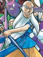 Palace Maven Spenser | Pokémon Wiki | Fandom