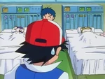 Electric Shock Showdown | Pokémon Wiki | Fandom