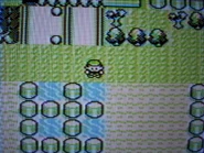 Glitch City | Pokémon Wiki | Fandom