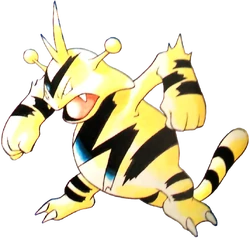 Electabuzz Pokmon Wiki Fandom Powered By Wikia