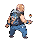 Roughneck | Pokémon Wiki | Fandom