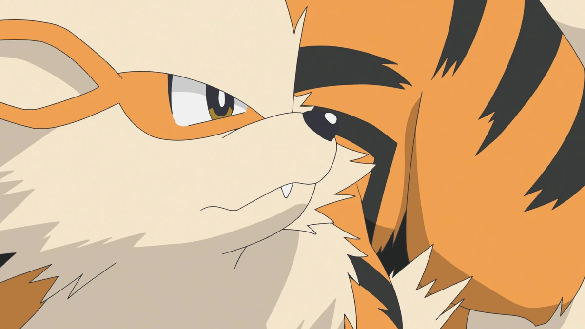 Diana's Arcanine | Pokémon Wiki | Fandom