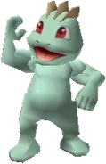 Machop | Pokémon Wiki | Fandom