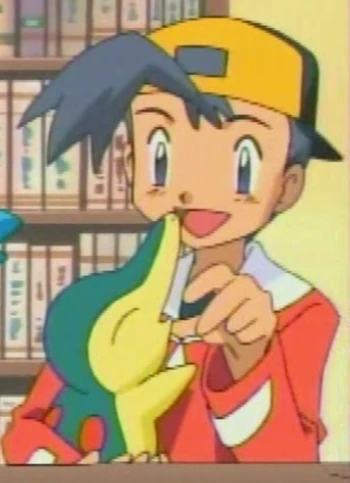 Jimmy's Typhlosion | Pokémon Wiki | Fandom