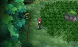 Route 20 (Kalos) | Pokémon Wiki | Fandom