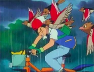 Peck | Pokémon Wiki | Fandom