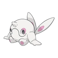 Cetoddle | Pokémon Wiki | Fandom
