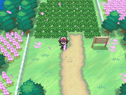 Season | Pokémon Wiki | Fandom