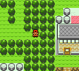 Route 2 (Kanto) | Pokémon Wiki | Fandom
