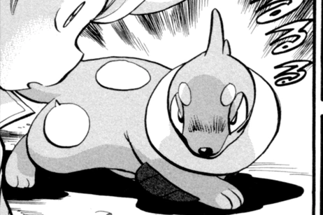 Zeller | Pokémon Wiki | Fandom