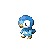 Piplup | Pokémon Wiki | Fandom