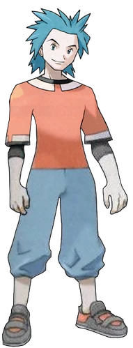 Brawly | Pokémon Wiki | Fandom