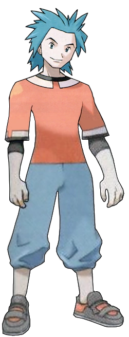 Brawly | Pokémon Wiki | Fandom