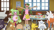 Mallow (anime) | Pokémon Wiki | Fandom