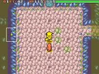 Brine Cave | Pokémon Wiki | Fandom