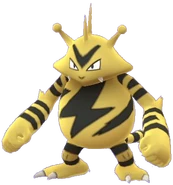 Electabuzz | Pokémon Wiki | Fandom