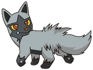 Poochyena | Pokémon Wiki | Fandom
