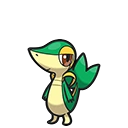 Snivy | Pokémon Wiki | Fandom