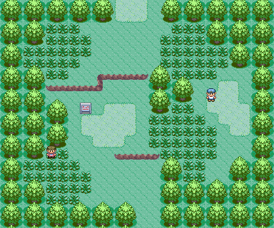Route 101 | Pokémon Wiki | Fandom